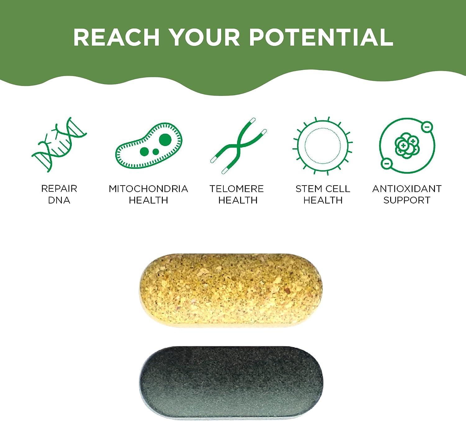 Healthycell AM PM Multivitamin for Adults - Anti-Aging Stem Cell ...