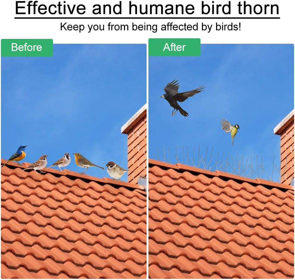 Rmenoor Pigeon Defense Spikes - 5 PCS Stainless Steel Bird Protection ...