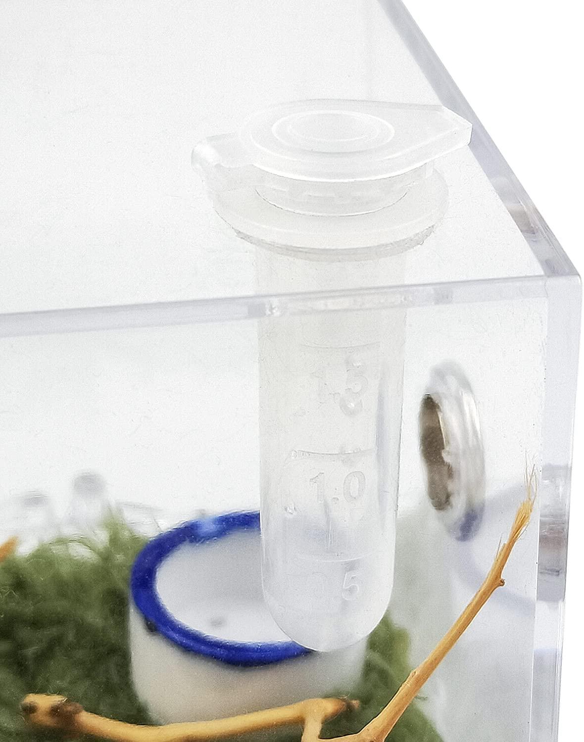 Acrylic Critter Keeper: Jumping Spider Enclosure & Snail Container ...