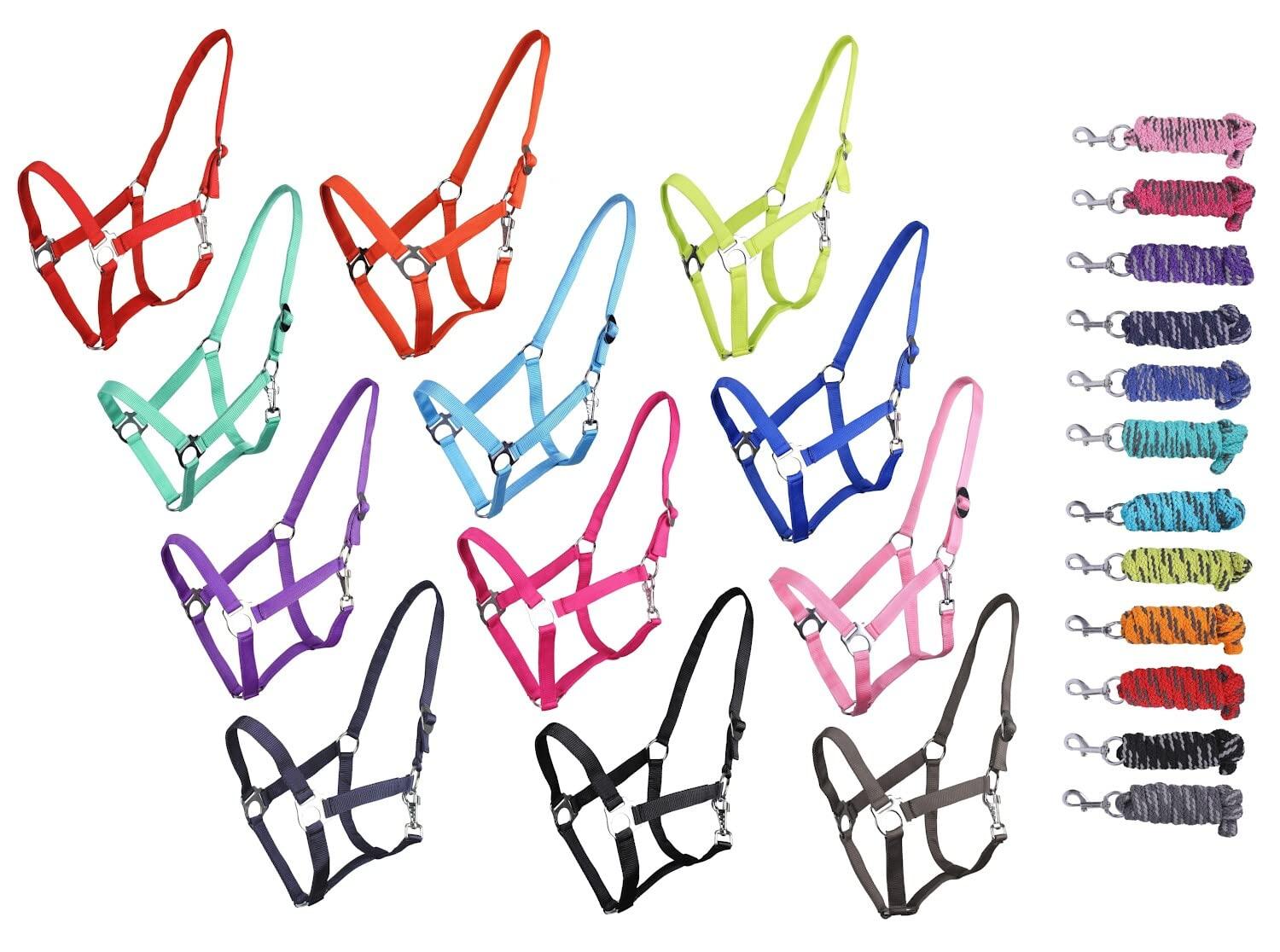 Netproshop Dark Blue Halter & Guideline for Mini Shetty to XL Full ...