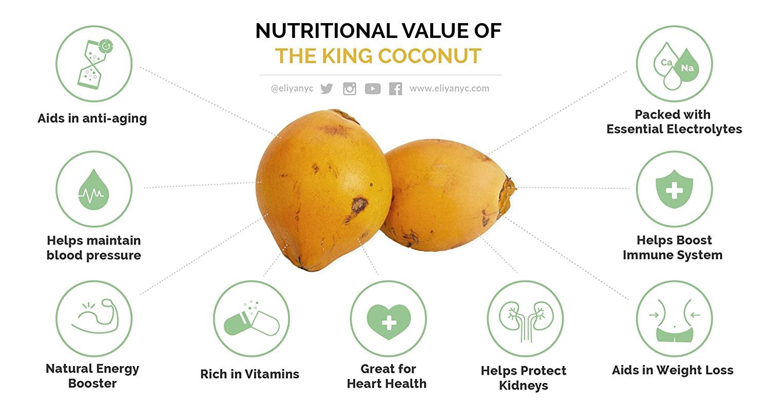 Eliya Organic Young King Coconut Water 10.1 fl. oz Glass Bottles - Pack ...