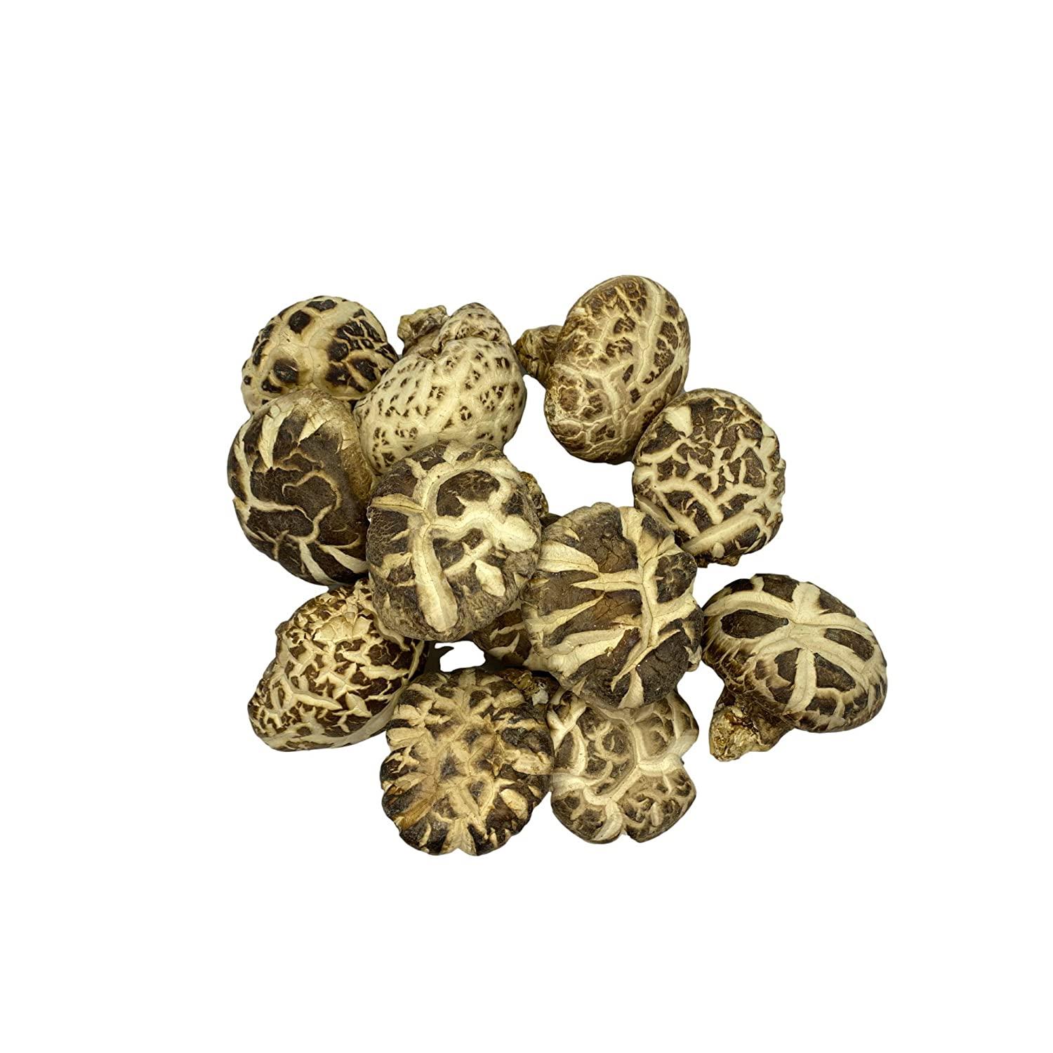 Premium Japanese White Flower Dried Shiitake Mushrooms - Grade AAA - 16 ...