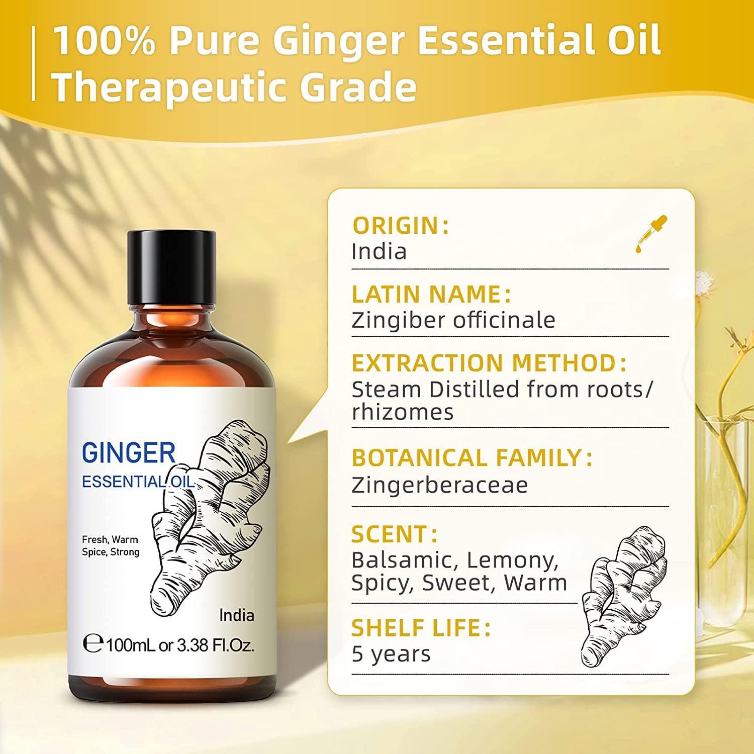 HIQILI Pure Ginger Essential Oil for Lymphatic Drainage Massage - 100ml ...