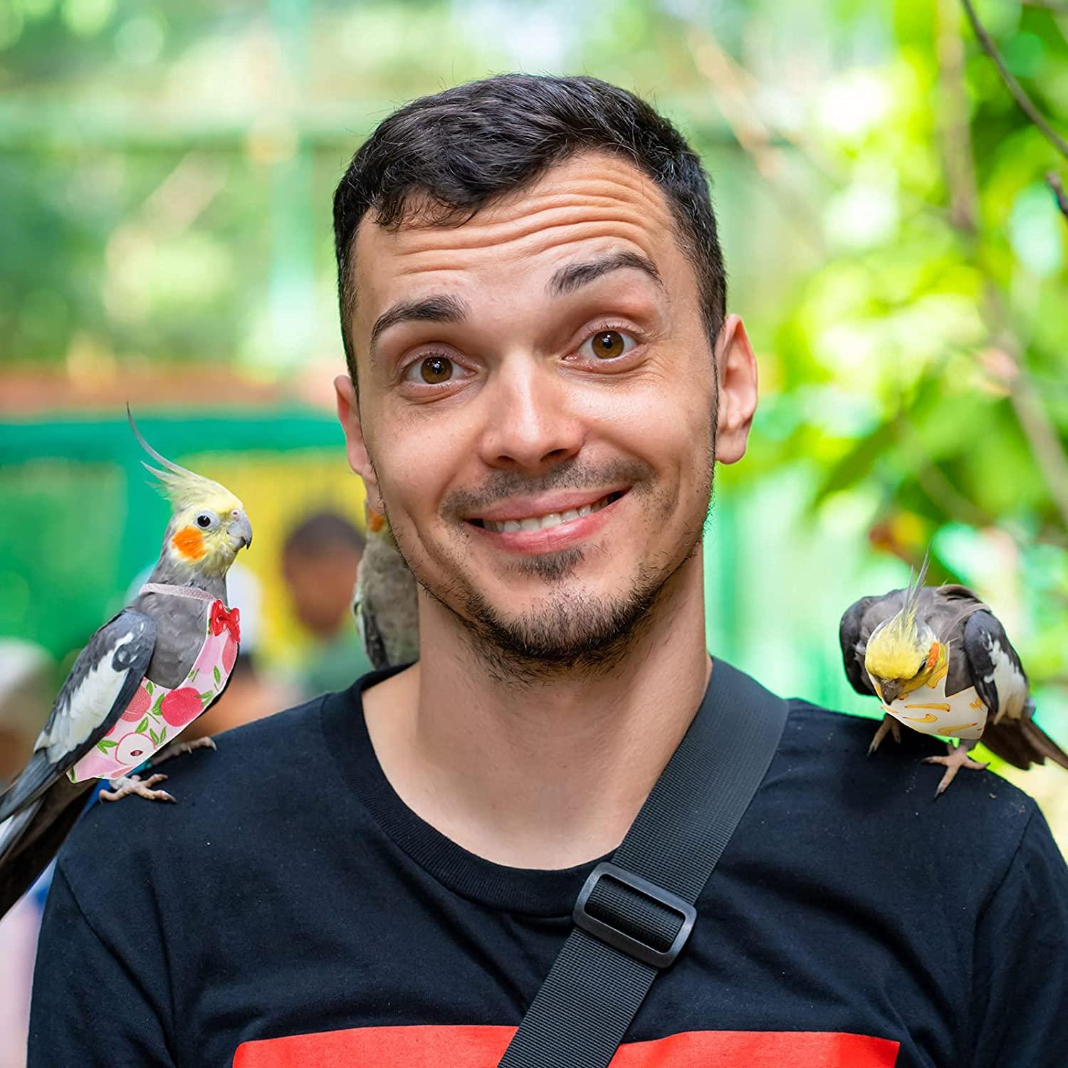 Nuanchu 6 Pieces Bird Diaper Washable Parrot Diapers Reusable Bird ...