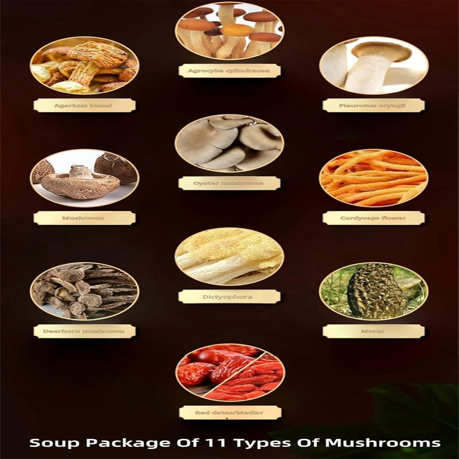 Soup Package of 11 Types of Mushrooms Dry Abalone Nutritious Mushroom ...