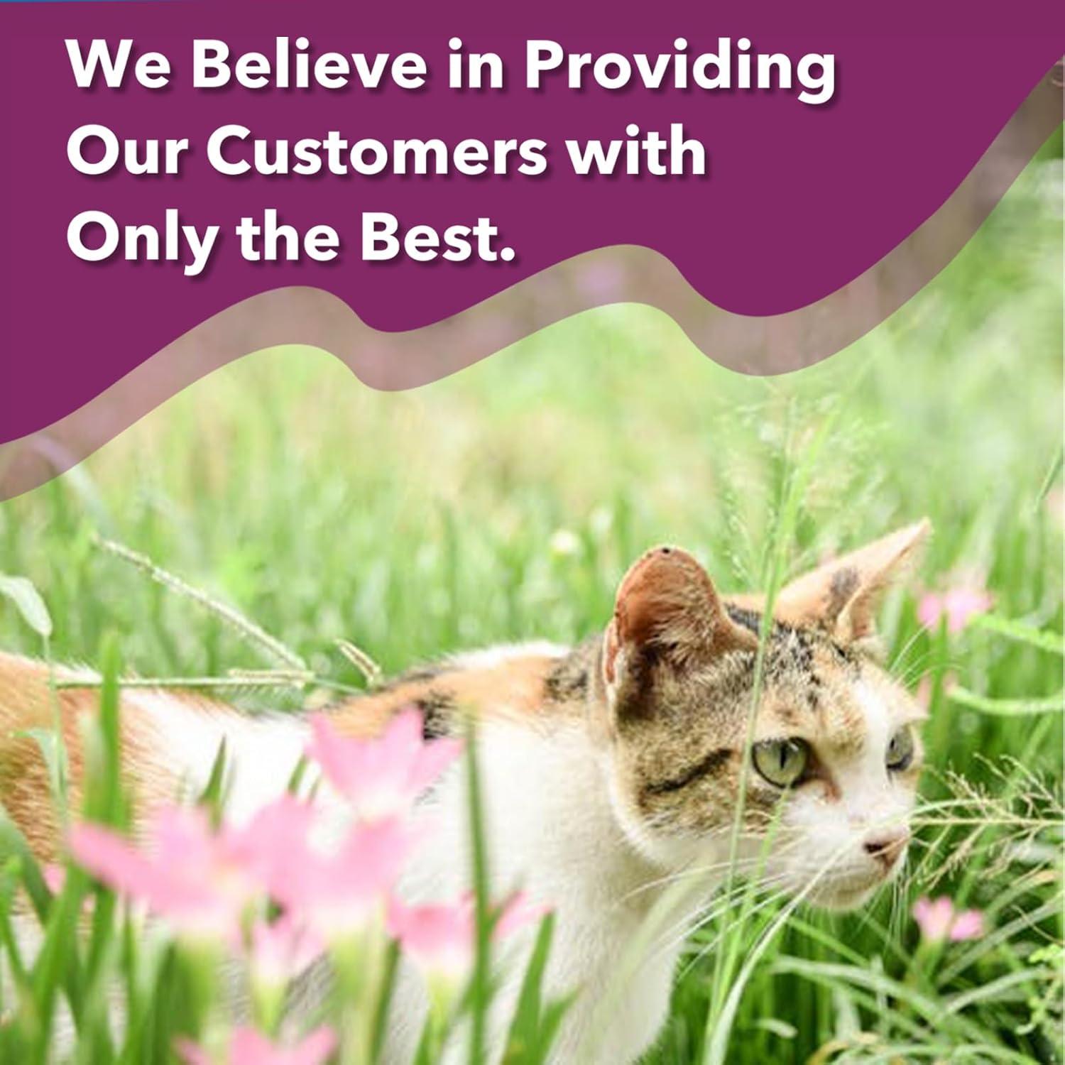 UT AID Plus for Cats & Dogs - Feline Idiopathic Cystitis & Urinary ...