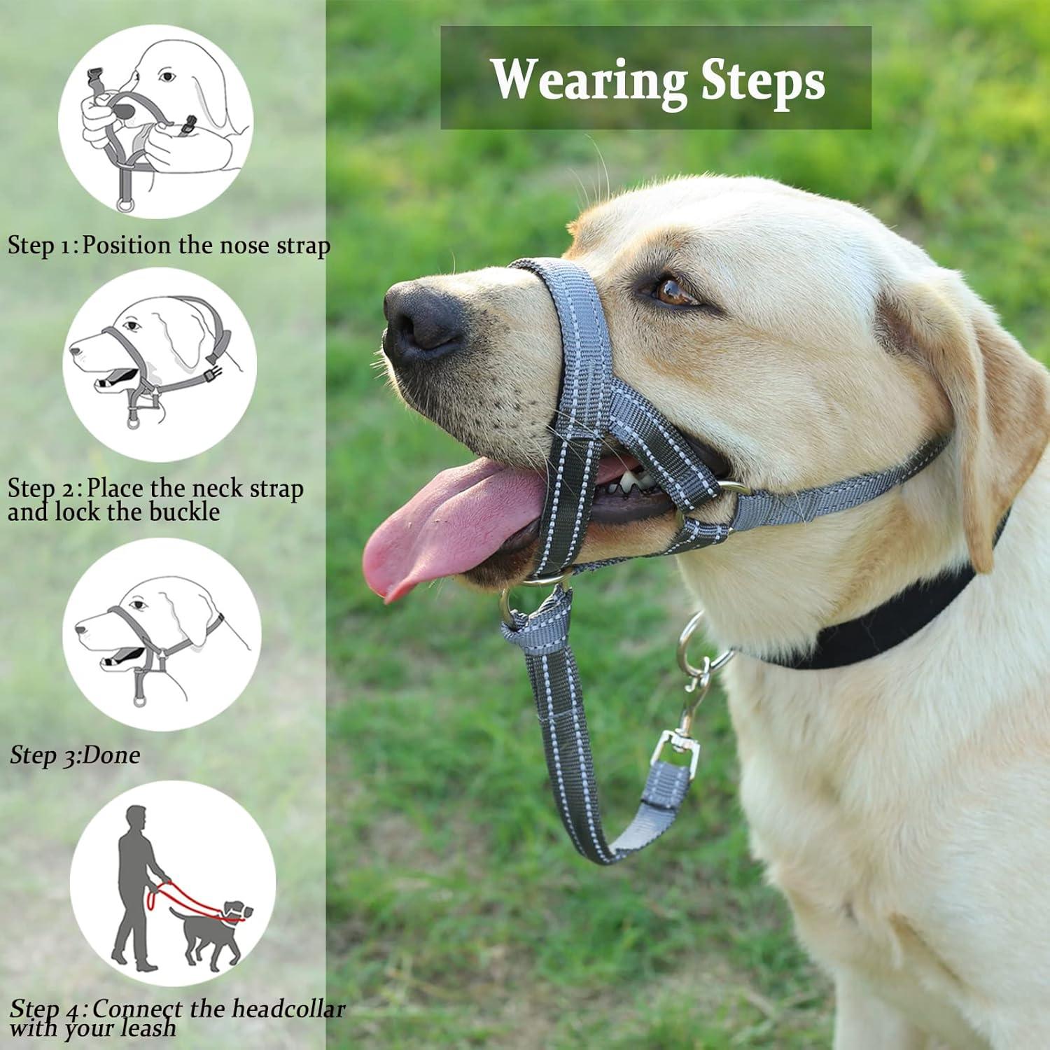 Premium Dog Handlebars for Medium & Large Dogs | Soft Upholstery ...