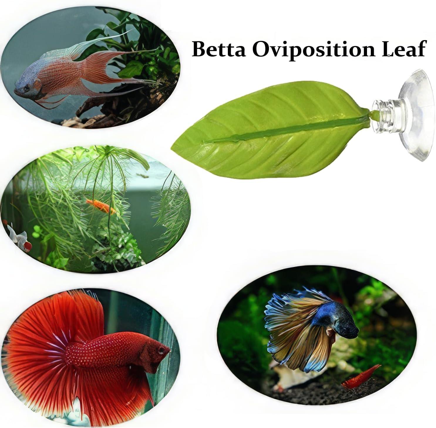 2 Pieces Betta Bed Leaf Hammock for Betta Fish Floating Betta Bed Leaf ...