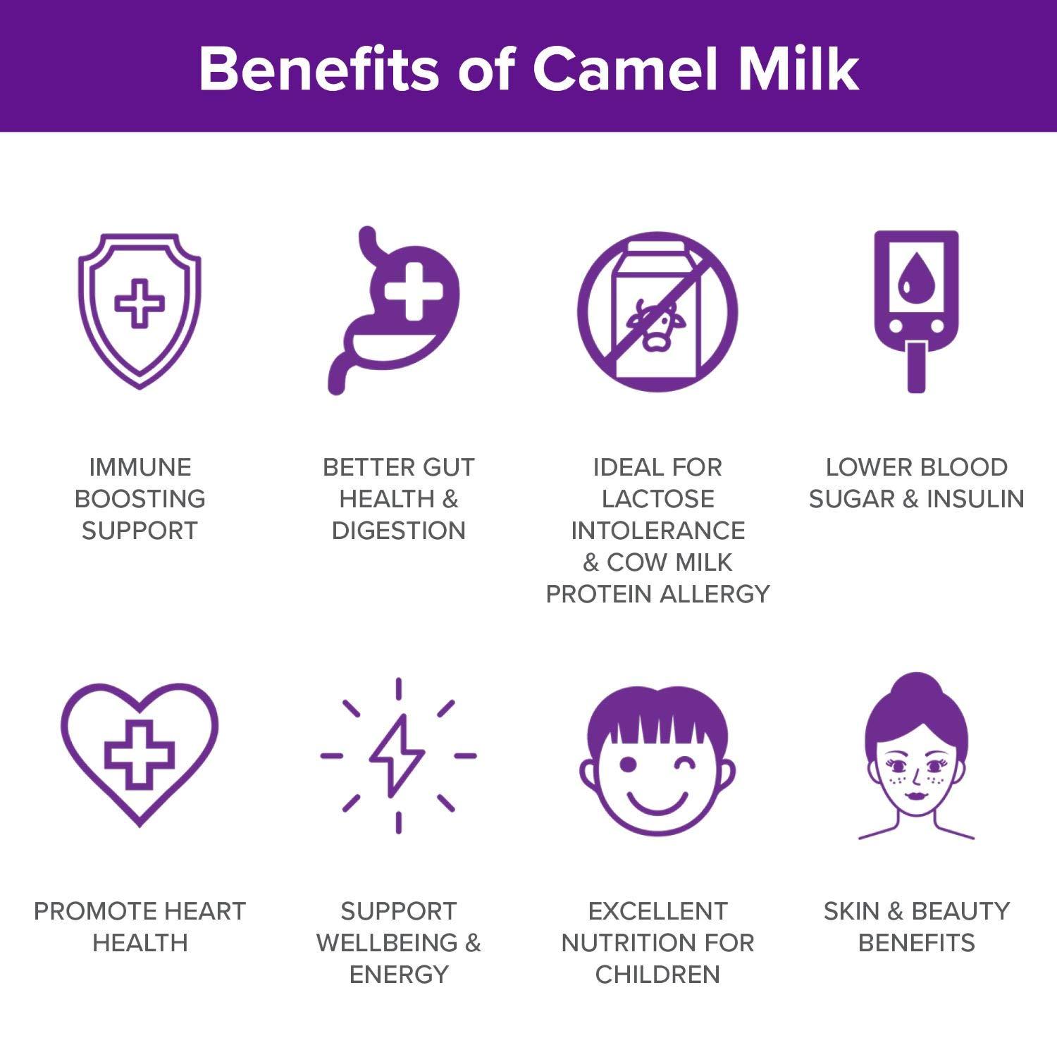 Camelicious 480g Box US Edition Camel Milk Powder - 24 x 20g Packets ...