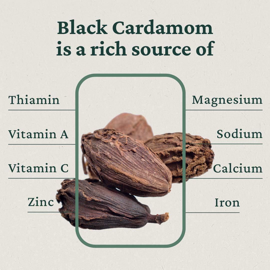 Burma Spice Black Cardamom Pods 5 oz - Whole Dried Smoky Flavored Pods ...