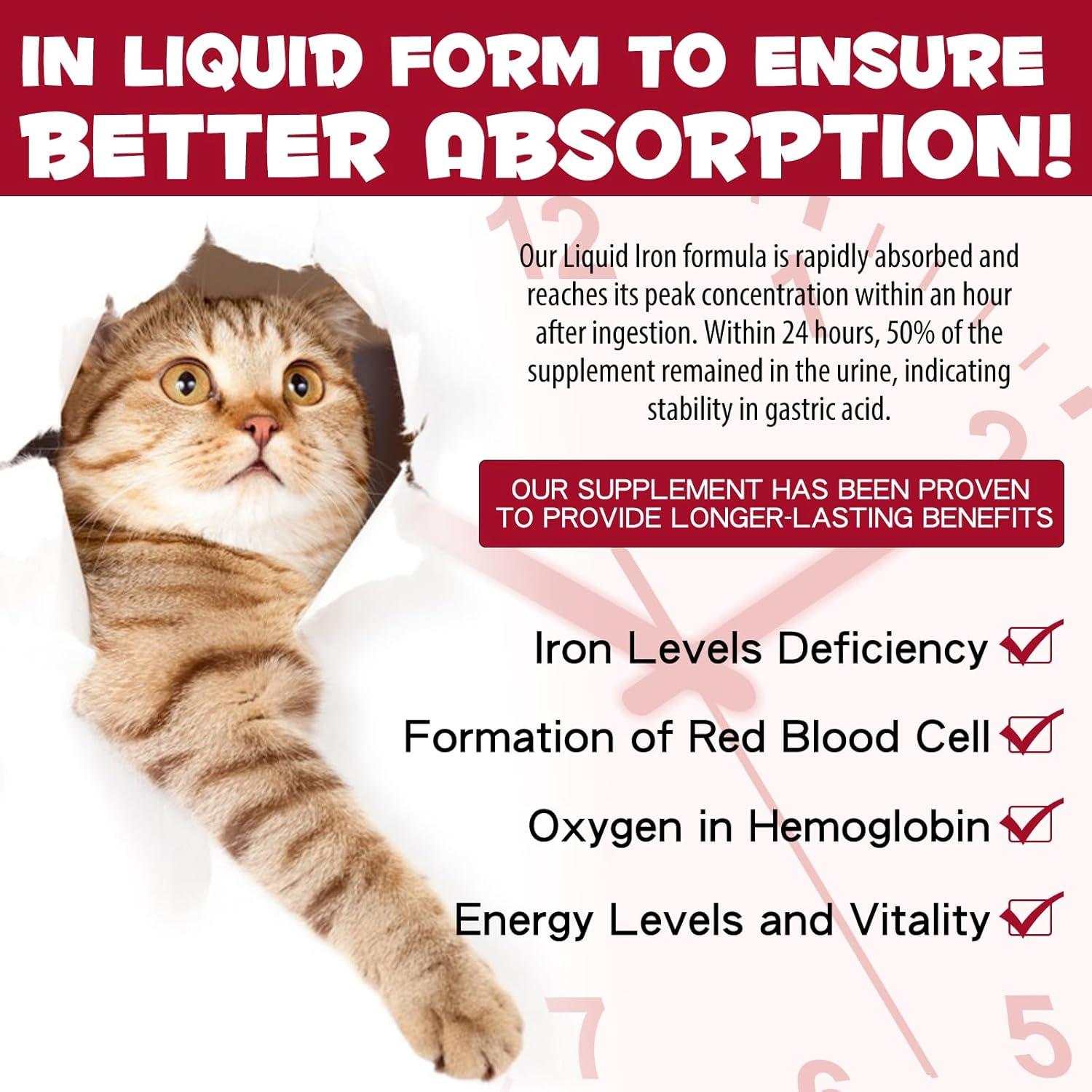 Iron Supplements for Cats 60ML Liquid Iron with Folate and B12 Supports ...