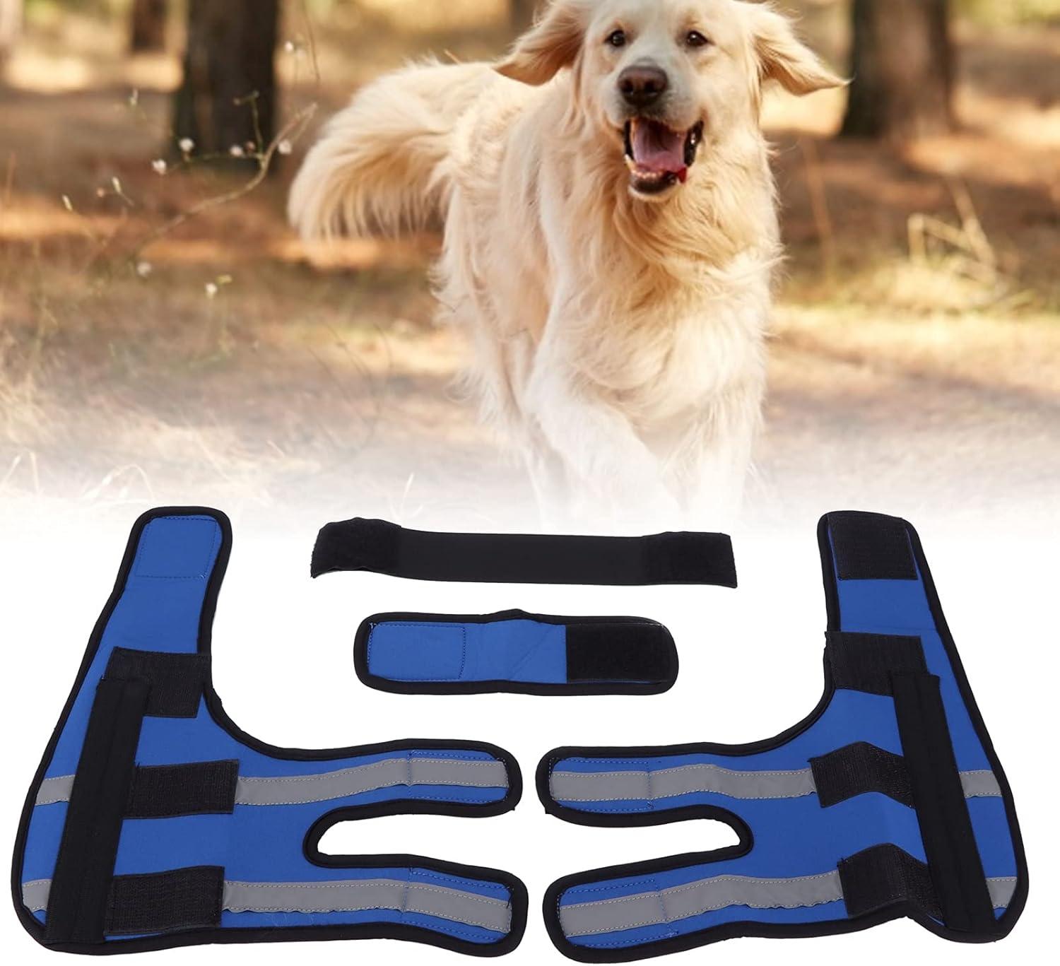 Dog Front Leg Braces Hook Loop Dog Knee Pads Cover Wrist Guard for ...