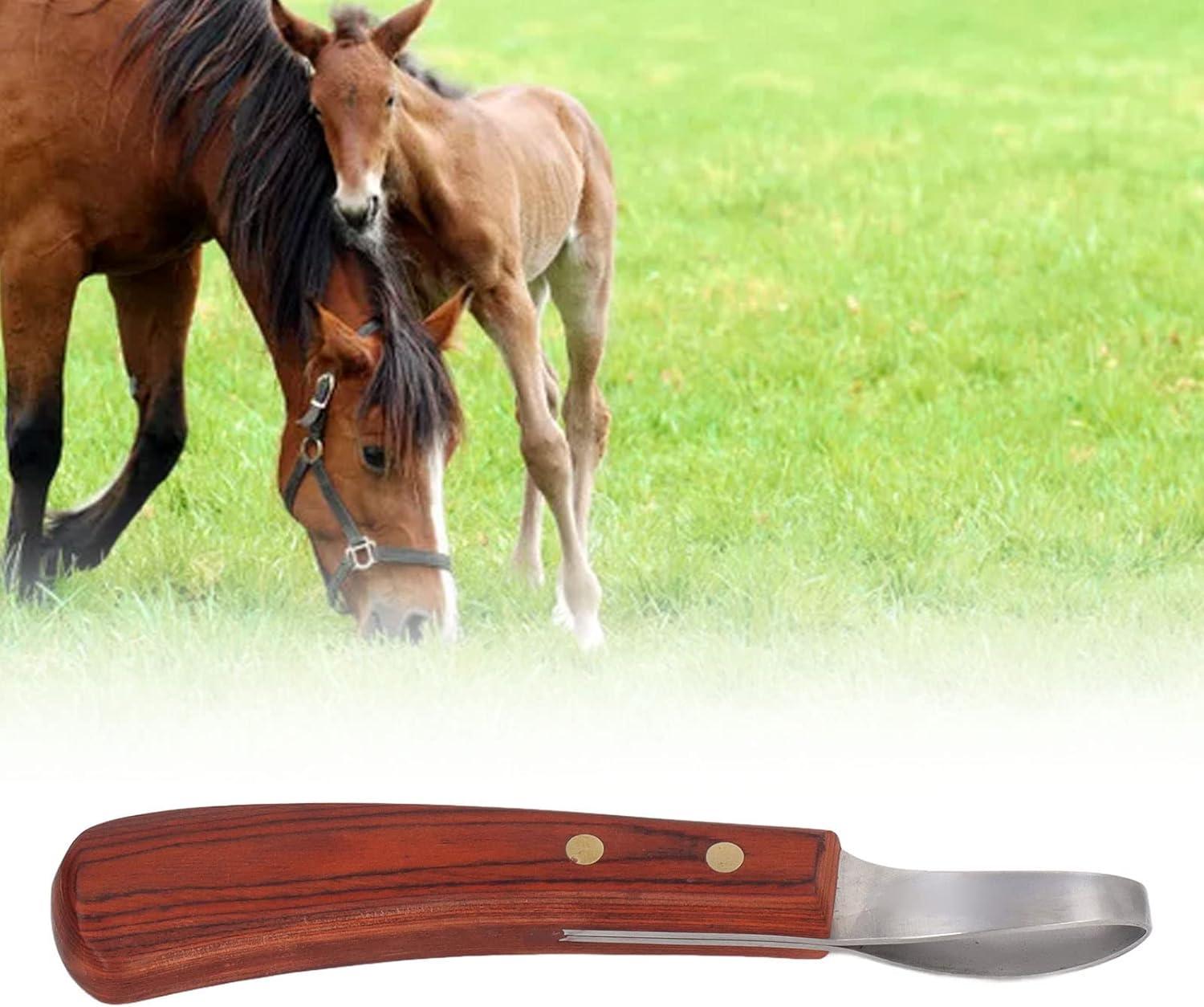 Luqeeg Farrier Tools Hoof Knife - Premium Eyelet Oval Horse Hoof Knife ...