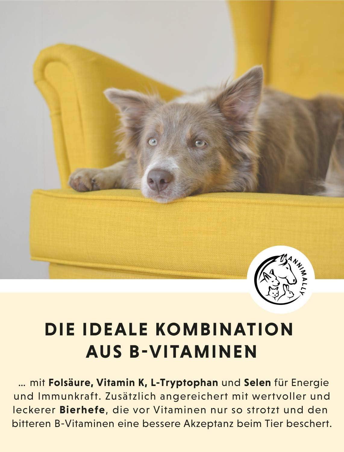 Premium Vitamin B Complex for Dogs & Cats - 120 High-Dose Tablets for 4 ...
