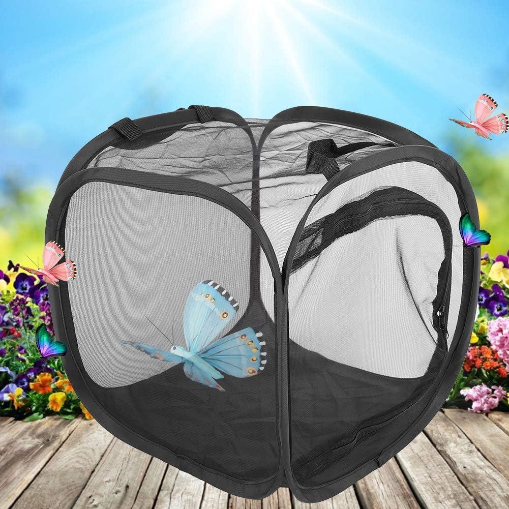 Insect Cage Insect Mesh Cage Enclosure Breeding Cages for Insects | Buy ...