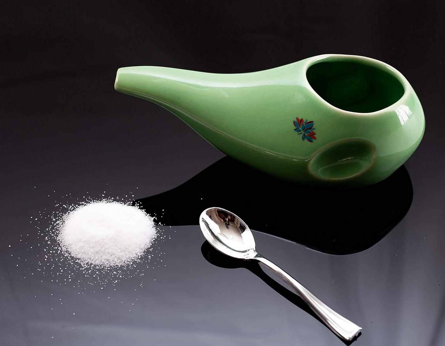 Ergonomically Designed Hand-made Ceramic Neti Pot - Sattvic Path | Clay ...