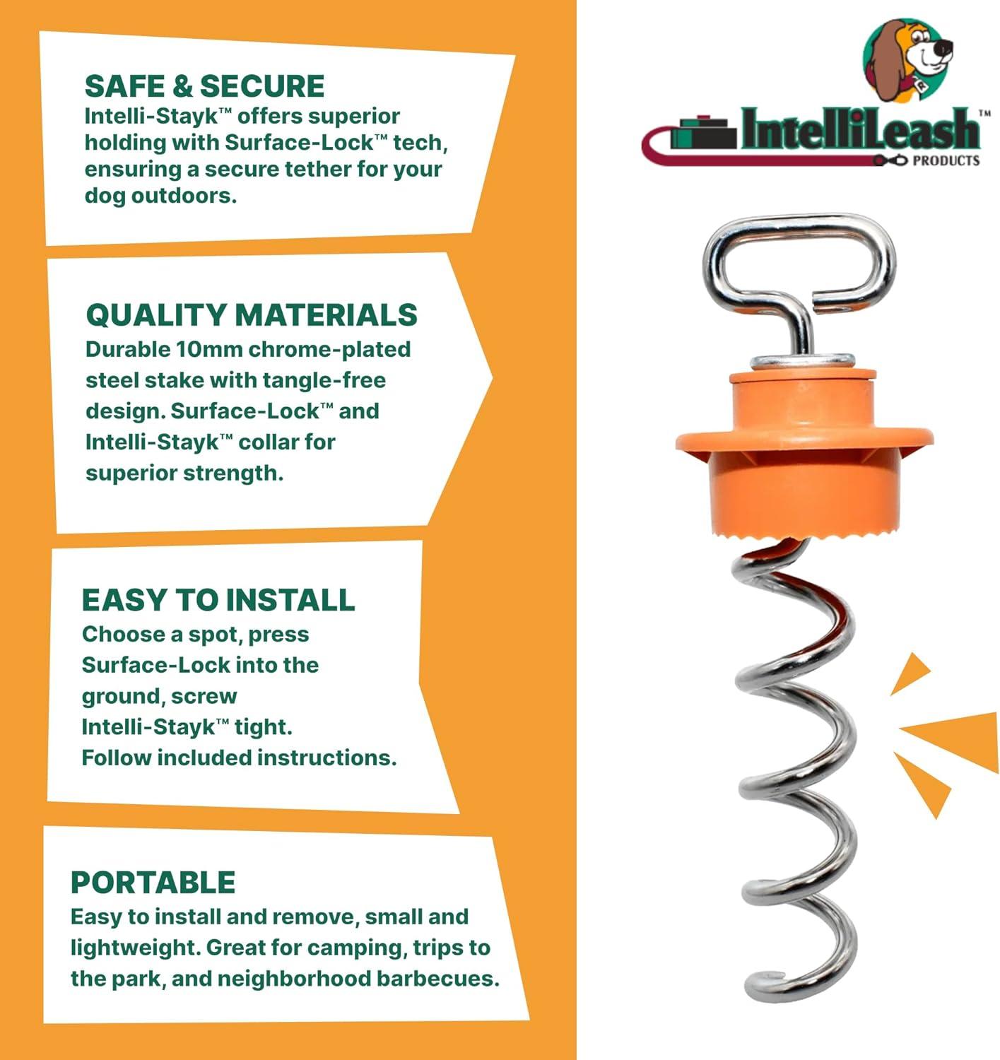 Intellileash Products Intelli-Stayk Dog Tie-Out Stake with Special ...