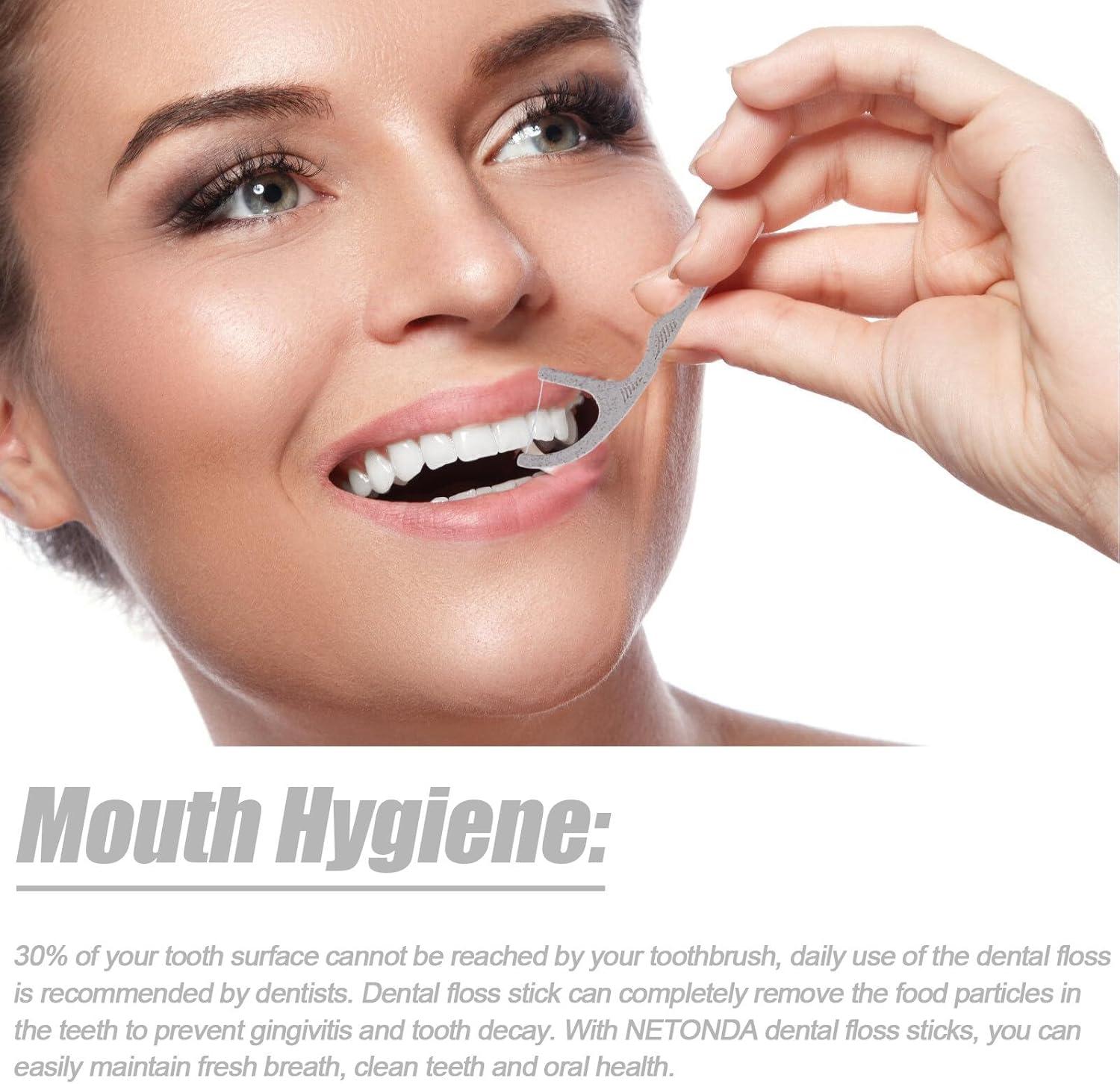 372 Tooth Flap Stick - Sustainable Natural Dental Floss Sticks for ...