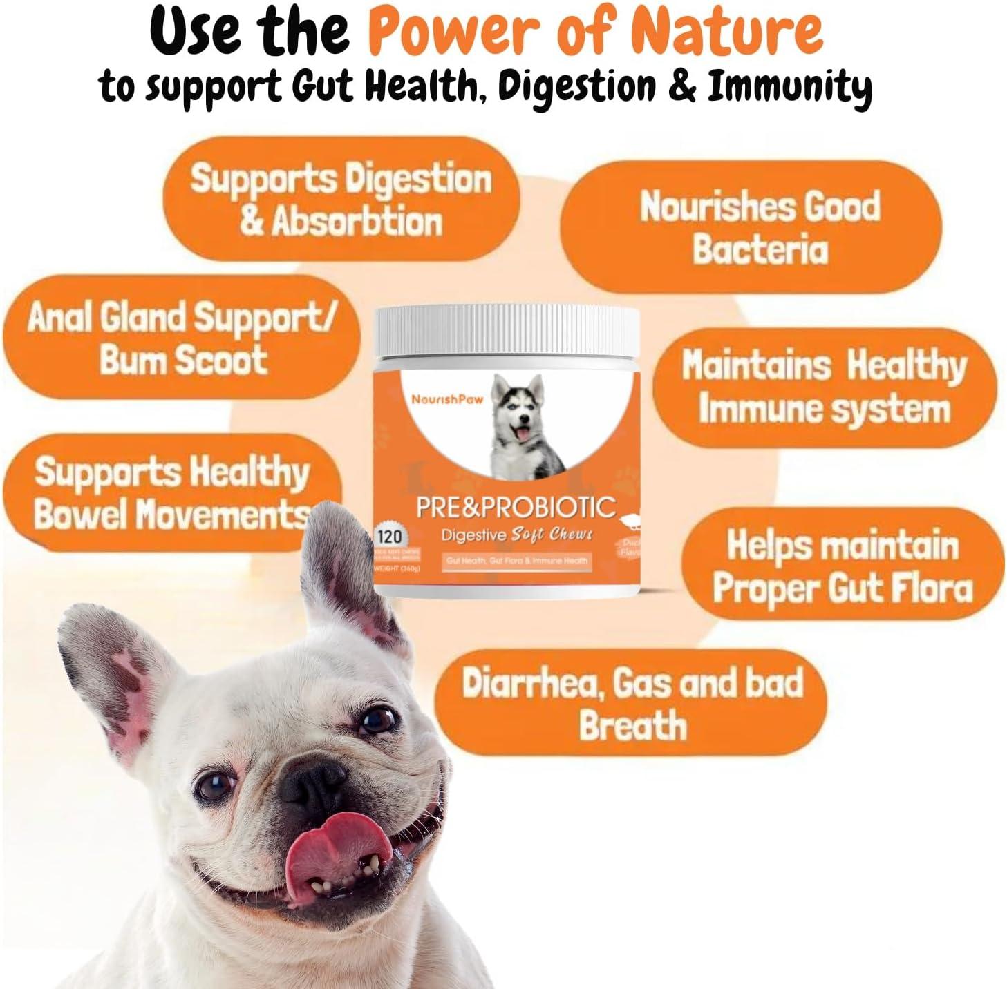 Pre Pro & Postbiotics For Dogs - Digestive Treats - Optimal Gut Health ...
