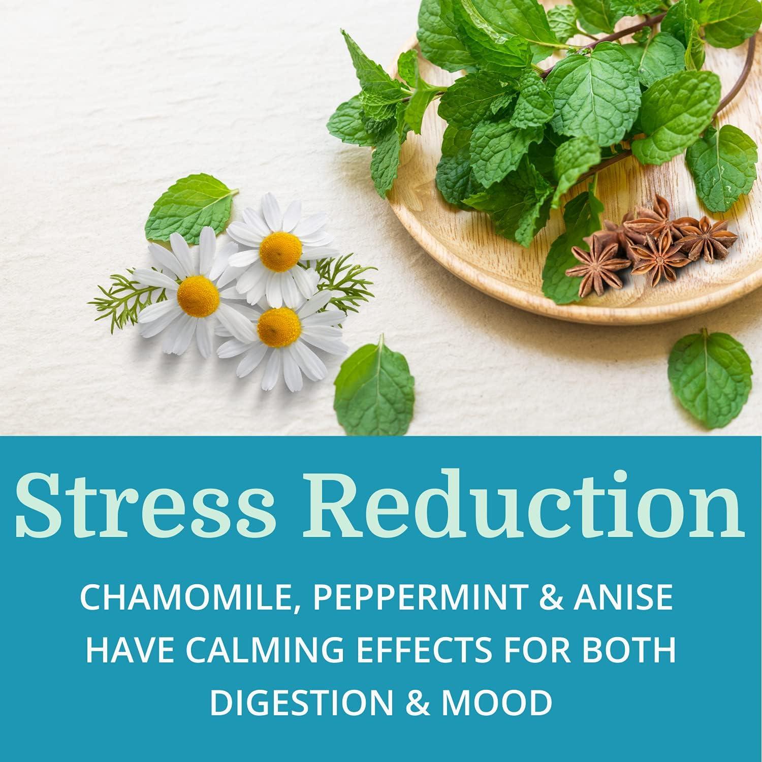 Alka Pan: Natural Pancreatic Enzymes with Superfoods & Digestive Herbs ...