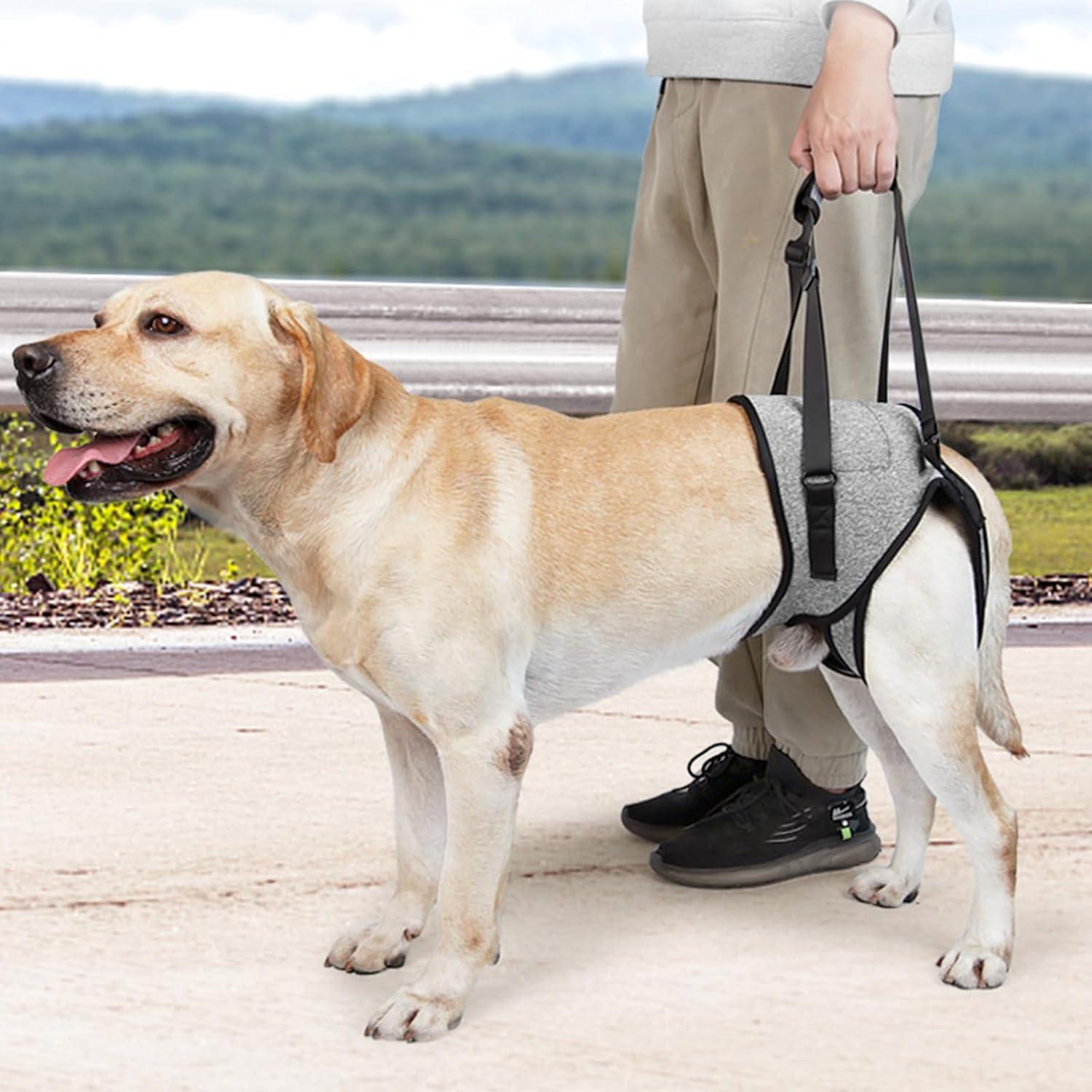 Dog Lifting Harness Dog Support Harness for Back Legs Dog Harness ...