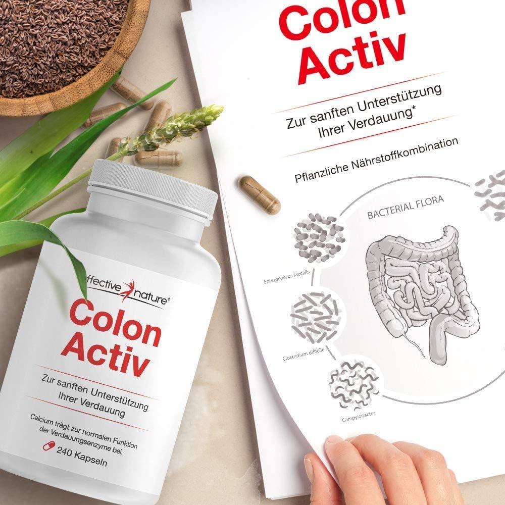 Colon Activ - 240 Capsules | Supports Digestion & Intestinal Health ...