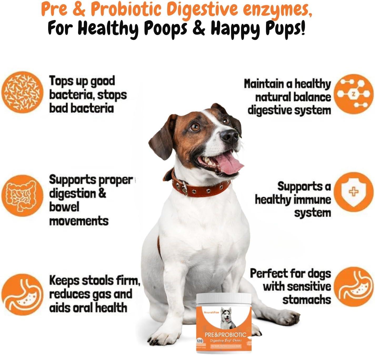 Pre Pro & Postbiotics For Dogs - Digestive Treats - Optimal Gut Health ...
