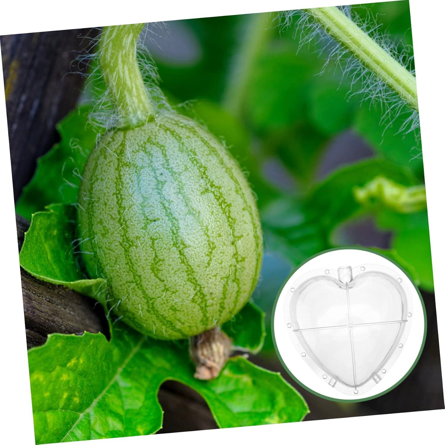 OKUMEYR Heart Shaped Watermelon Molds Gardening Fruit Molds Vegetable ...