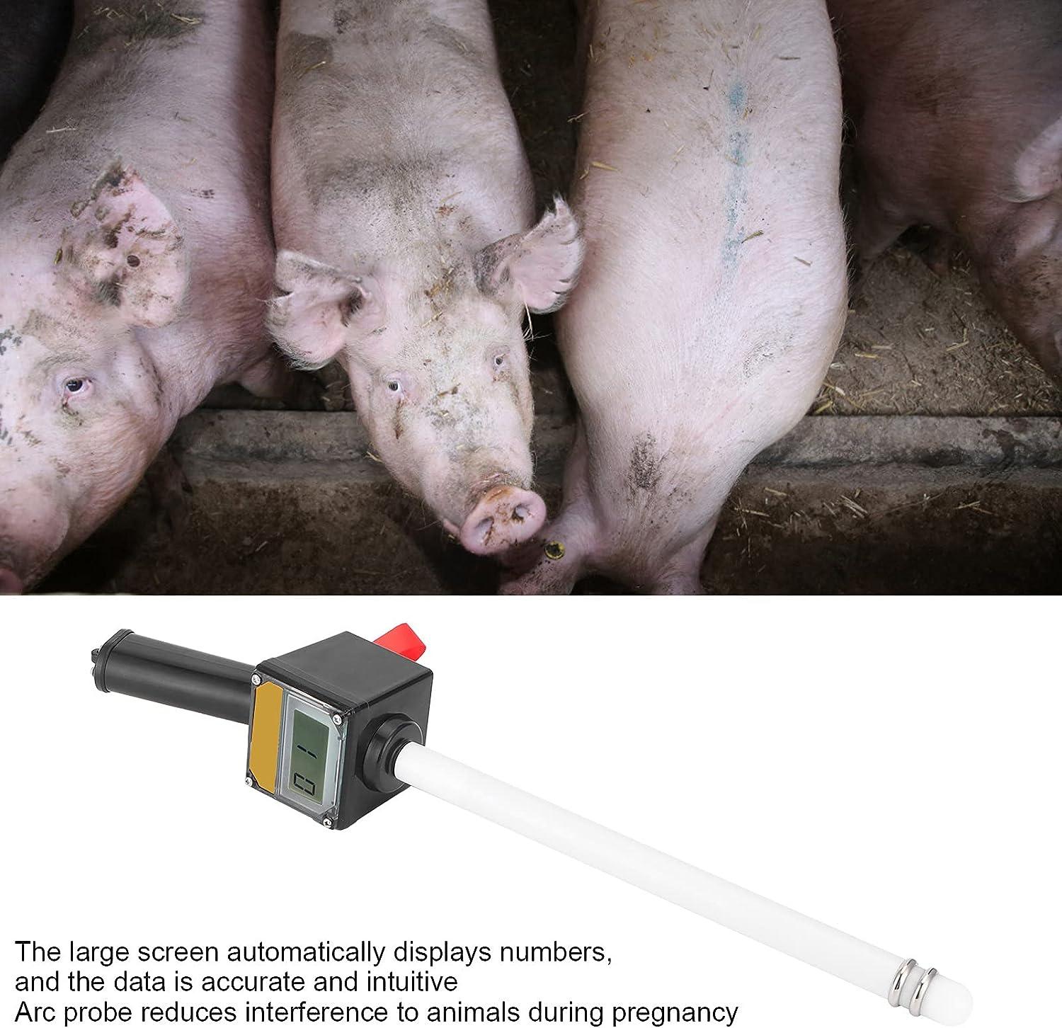 Ovulation Analyzer & Estrus Detector for Pig Breeding Equipment - Easy ...
