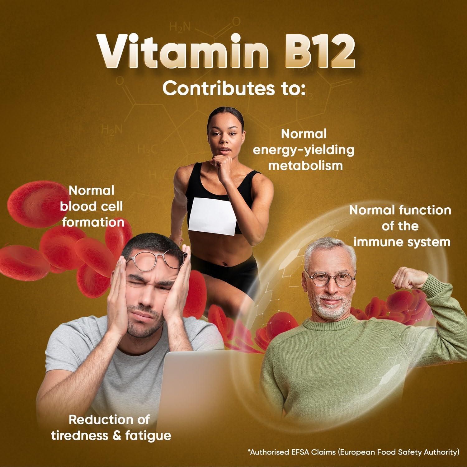 High Strength Vegan Vitamin B12 Tablets 1000mcg - 450 Pure ...