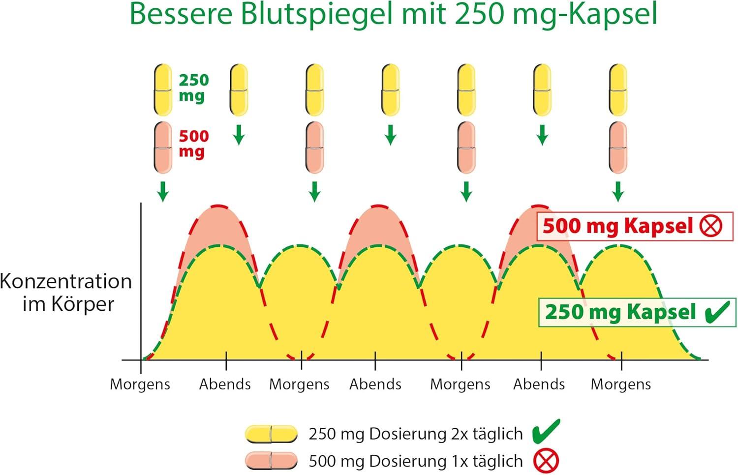 Immunplus Forte Bundle - Immune Booster with Quercetin Rhodiola Rosea ...