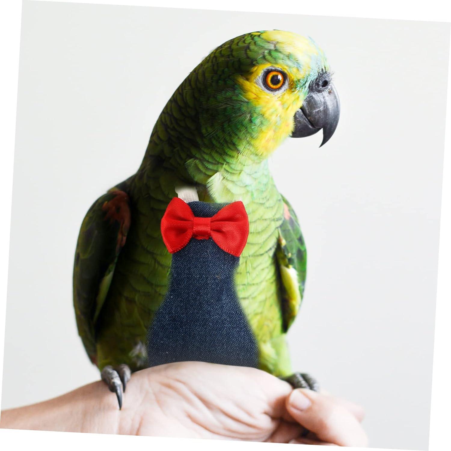 POPETPOP Flying Bird Diapers Budgie Diaper Bird Nappy Bird Clothes Bird ...