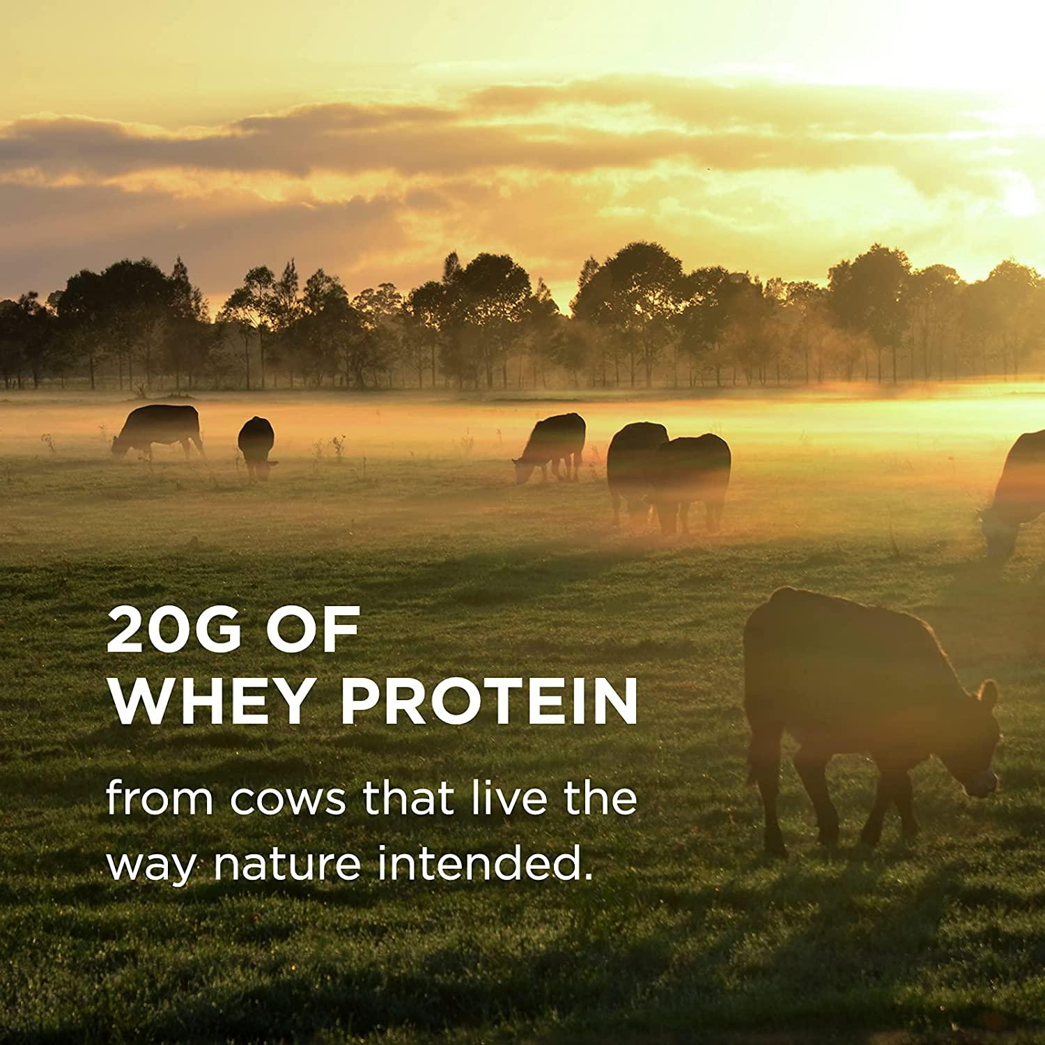 Solgar Grass Fed Whey Protein Powder 2.3lbs - 20g From New Zealand Cows ...
