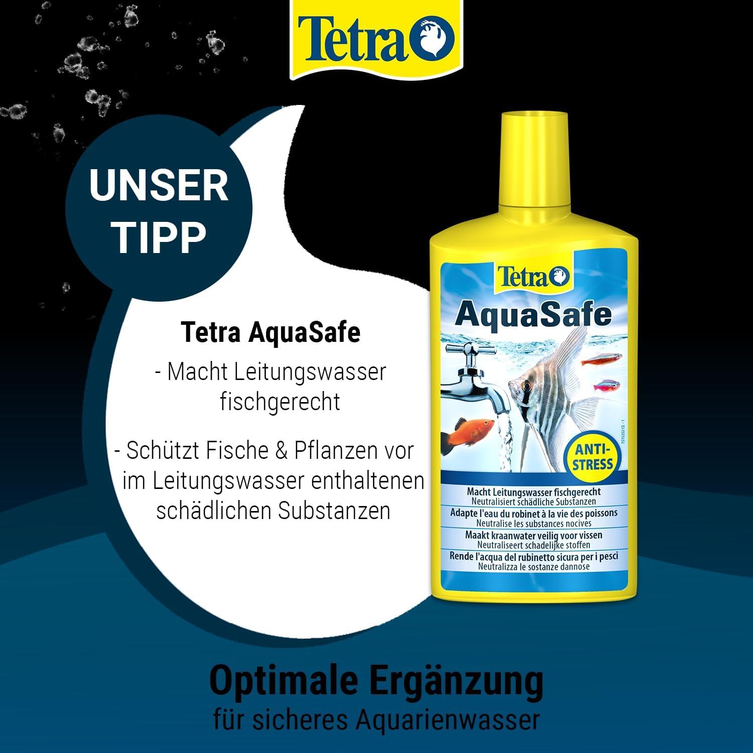 Tetra SafeStart Aquarium Starter - Rapid Fish Introduction with Live ...