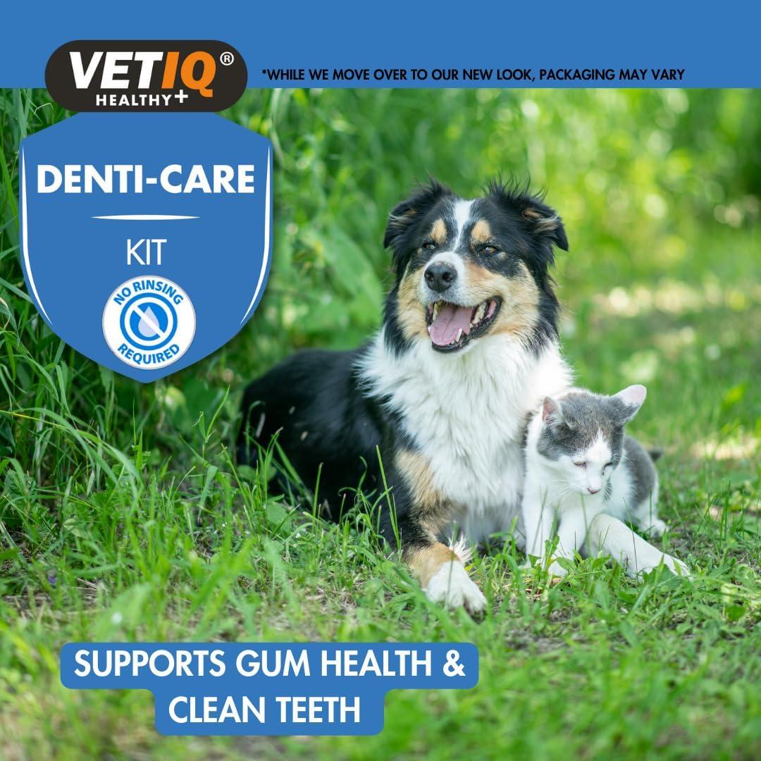 VETIQ Denti-Care Kit: Enzymatic Toothpaste for Dogs and Cats - Fight ...
