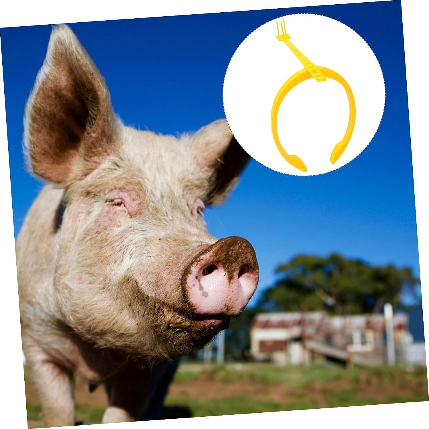 Pig Insemination Rods Stand | Sperm Feeding Holder | Artificial ...