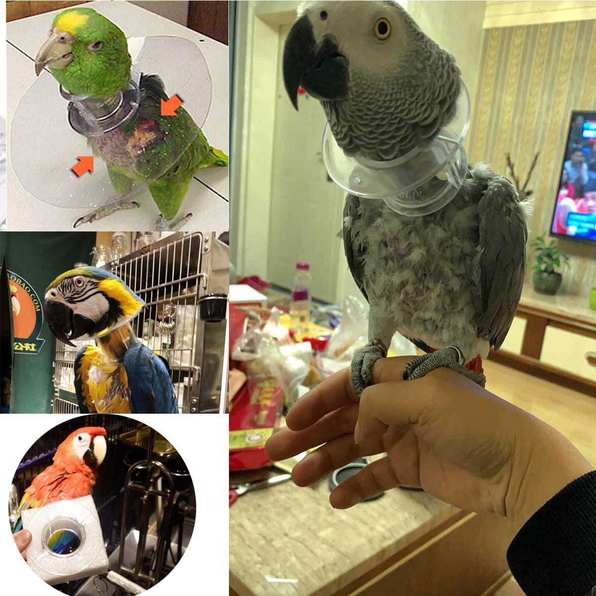 Bonaweite Pet Parrot Anti-Bite Collar for Macaw, African Budgies ...