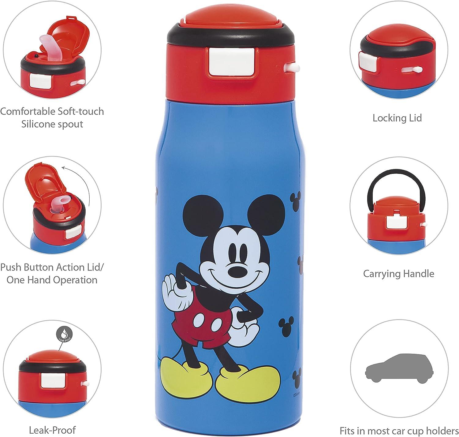 disney flask