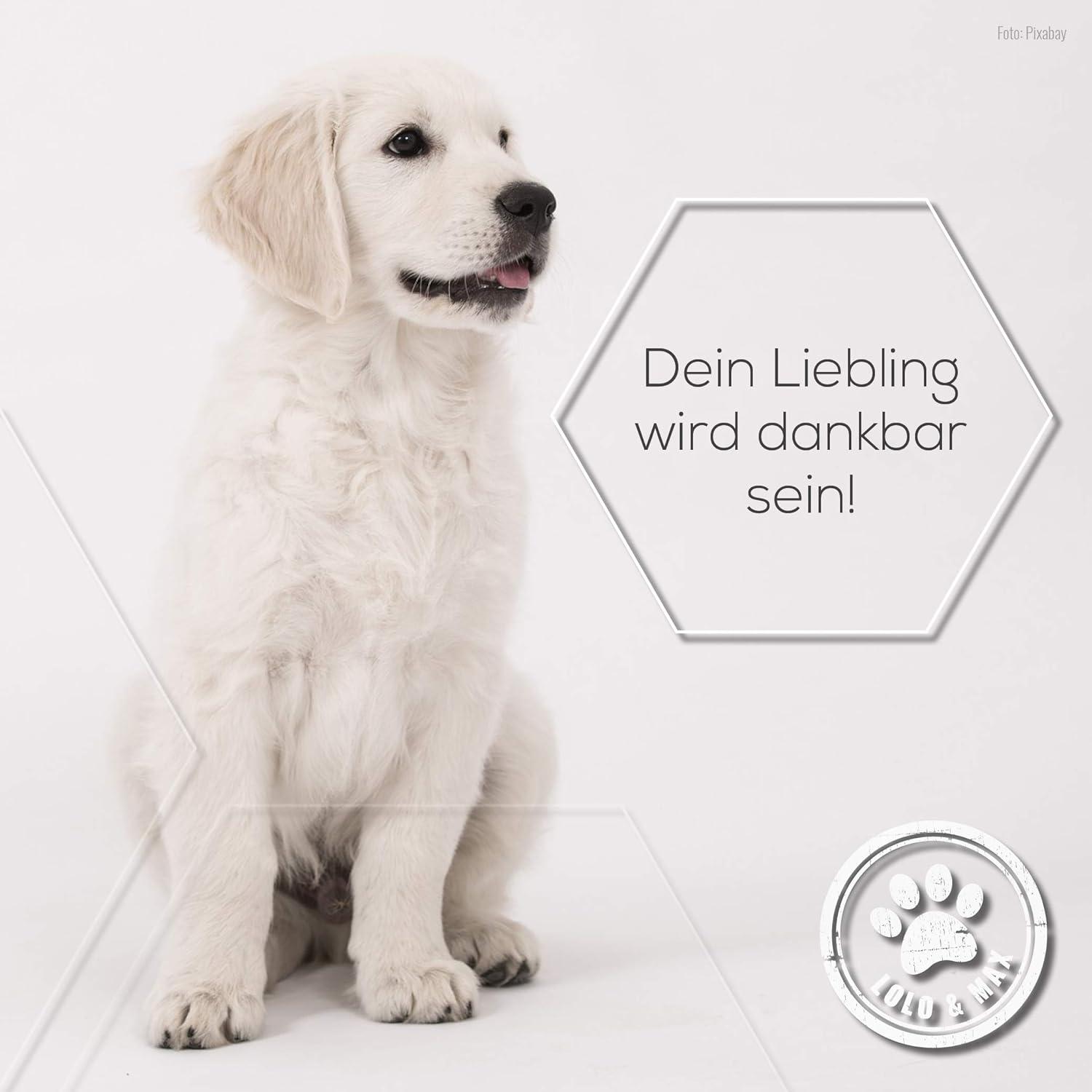 Buy Lolo & Max Natural Flea & Tick Spot On for Dogs | 100% Effective ...