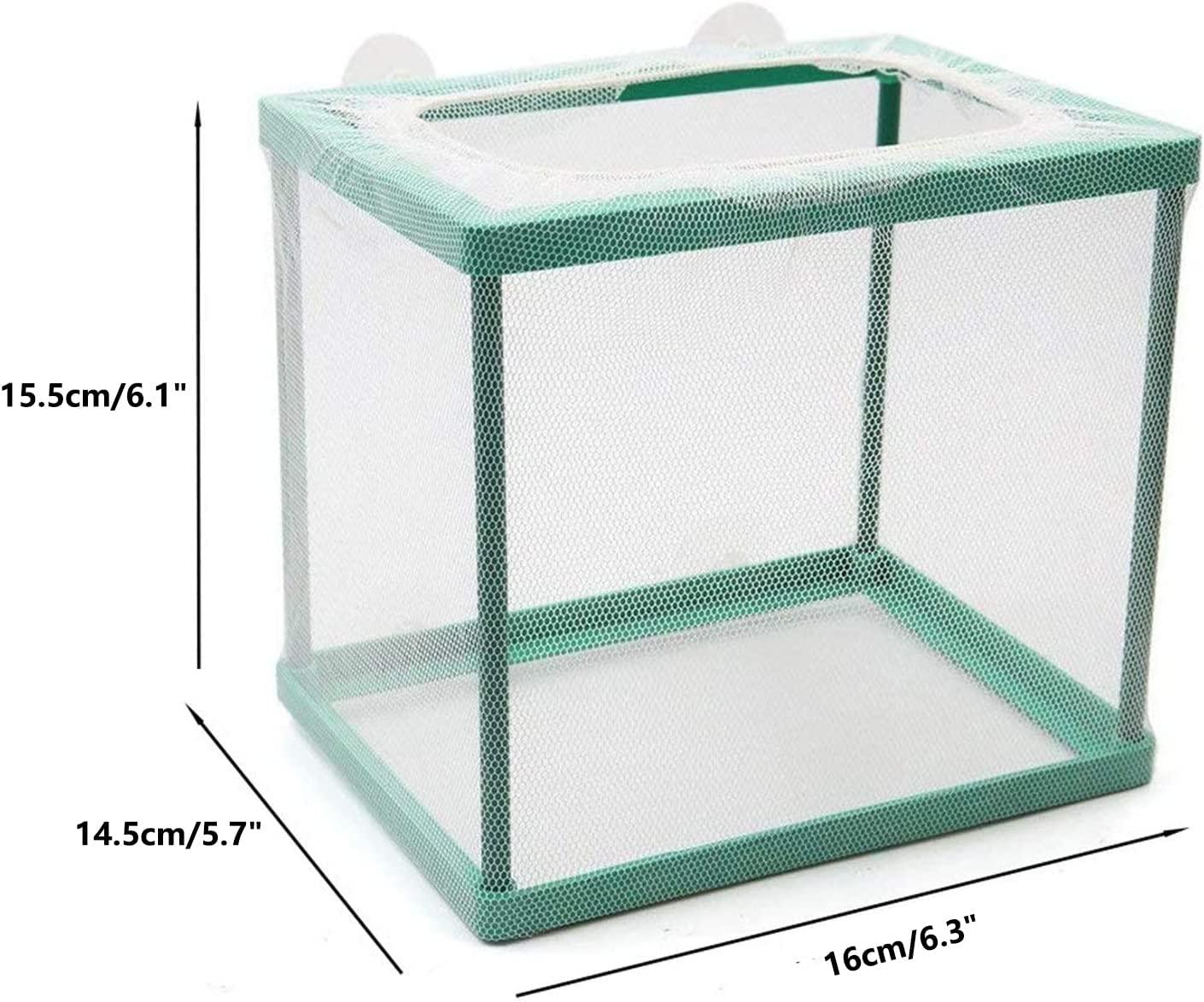 Trinidad Fish Breeding Box - Large Isolation & Nursery Container with ...