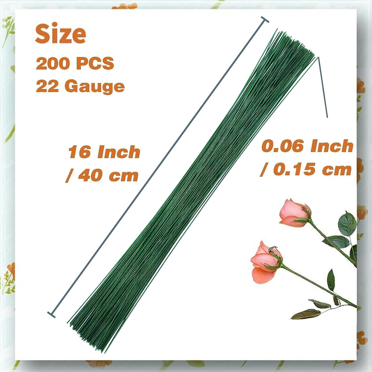 Hamiggaa 200 Pcs 16 Inch 22 Gauge Floral Stem Wire for Flower ...
