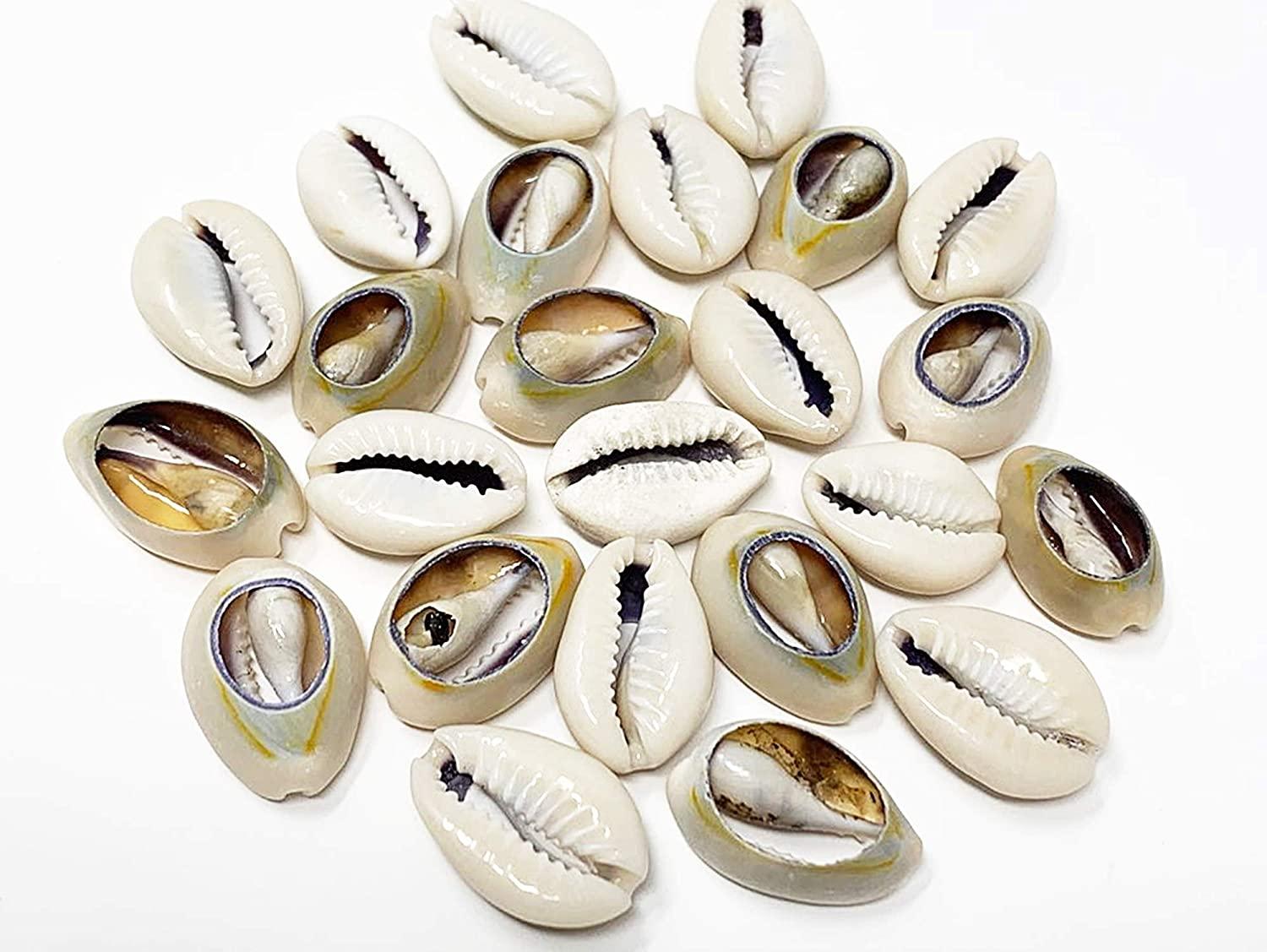 Crispy Collection Sea Shell Hair Beads 2-Pack - Cowrie Dreadlocks Braid ...