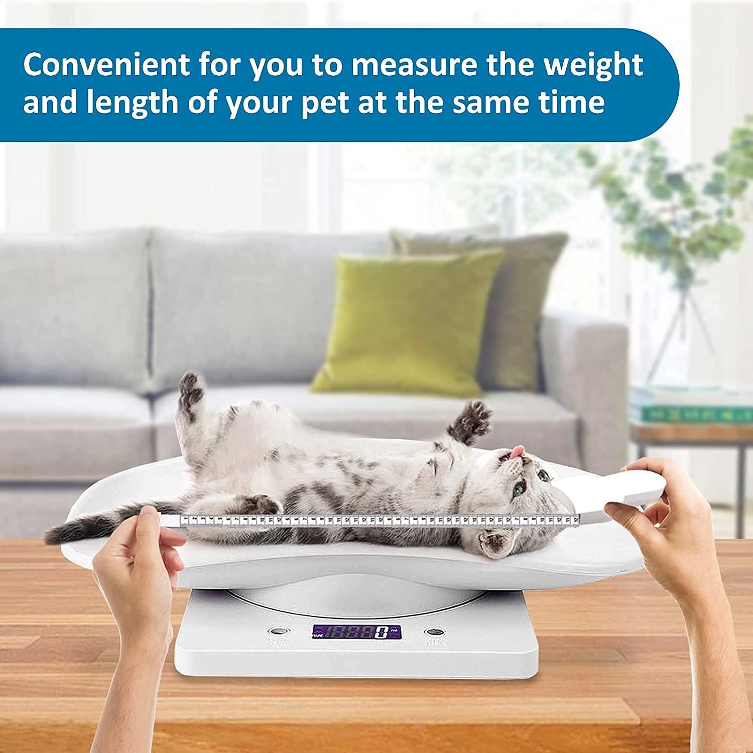 Digital Pet Scales - 15kg Small Animal & Feed Weight Scale with ...
