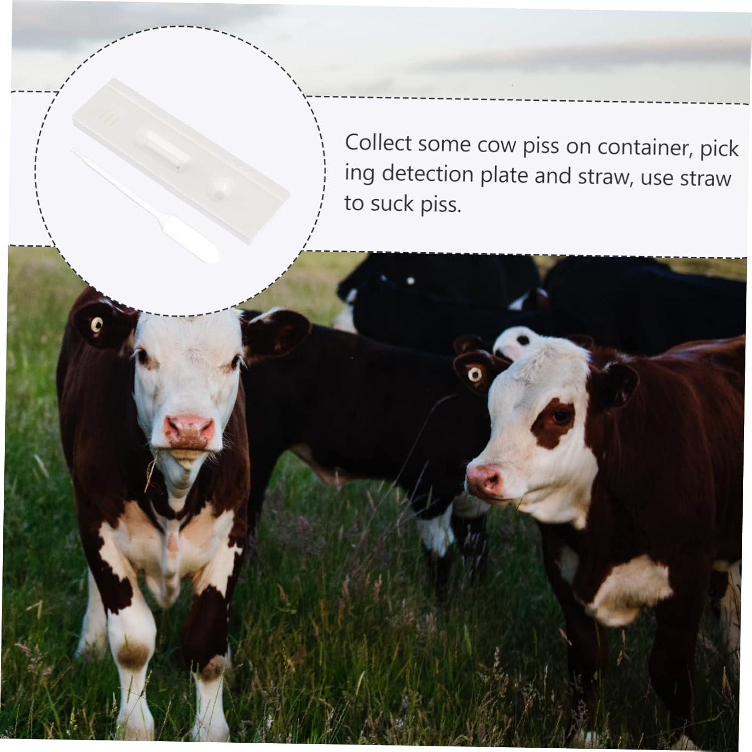 Minkissy 3-Pack Pregnancy Test Strips for Cattle | Colloidal ...
