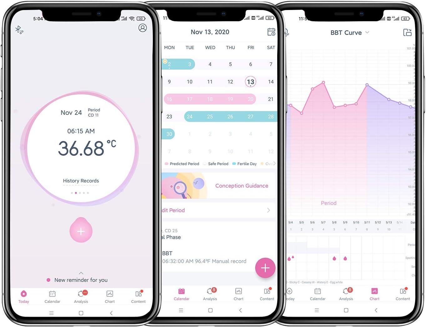 Femometer Digital Basal Body Thermometer - Fertility Monitor for ...