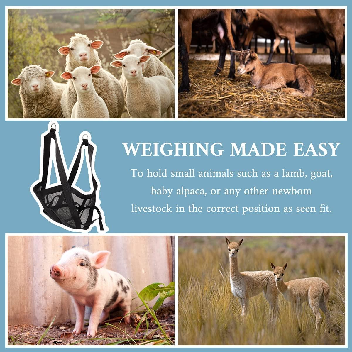 Iwerod Calf Sling for Weighing Small Animals - Livestock Scale Hanging ...