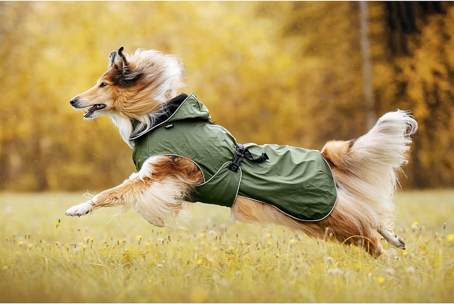 Rukka Pets STREAMY ECO Raincoat for Dogs - Dark Olive Green - Eco ...
