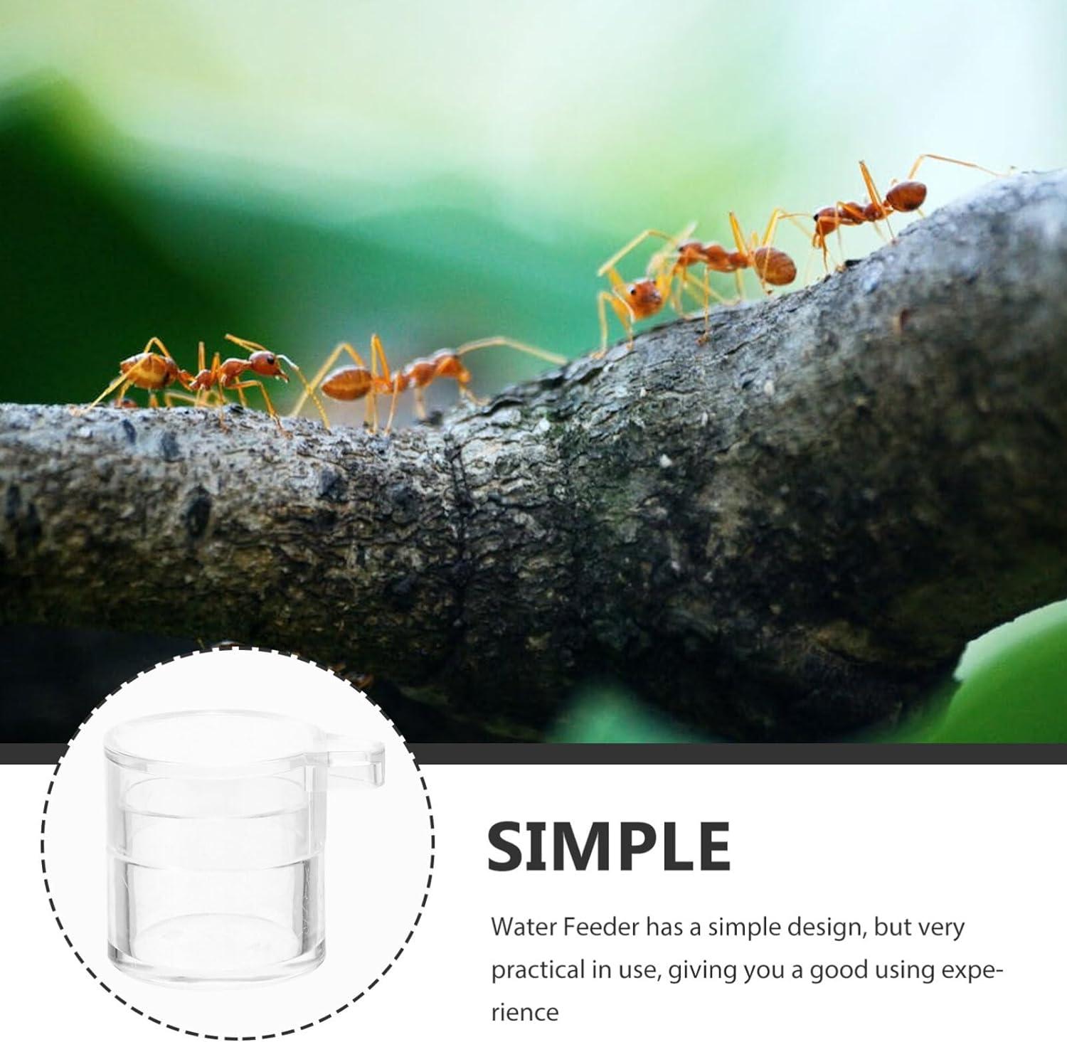 PATKAW Pet Water Feeder Ants Waterer for Garden Ants Feed Bowl Ants ...