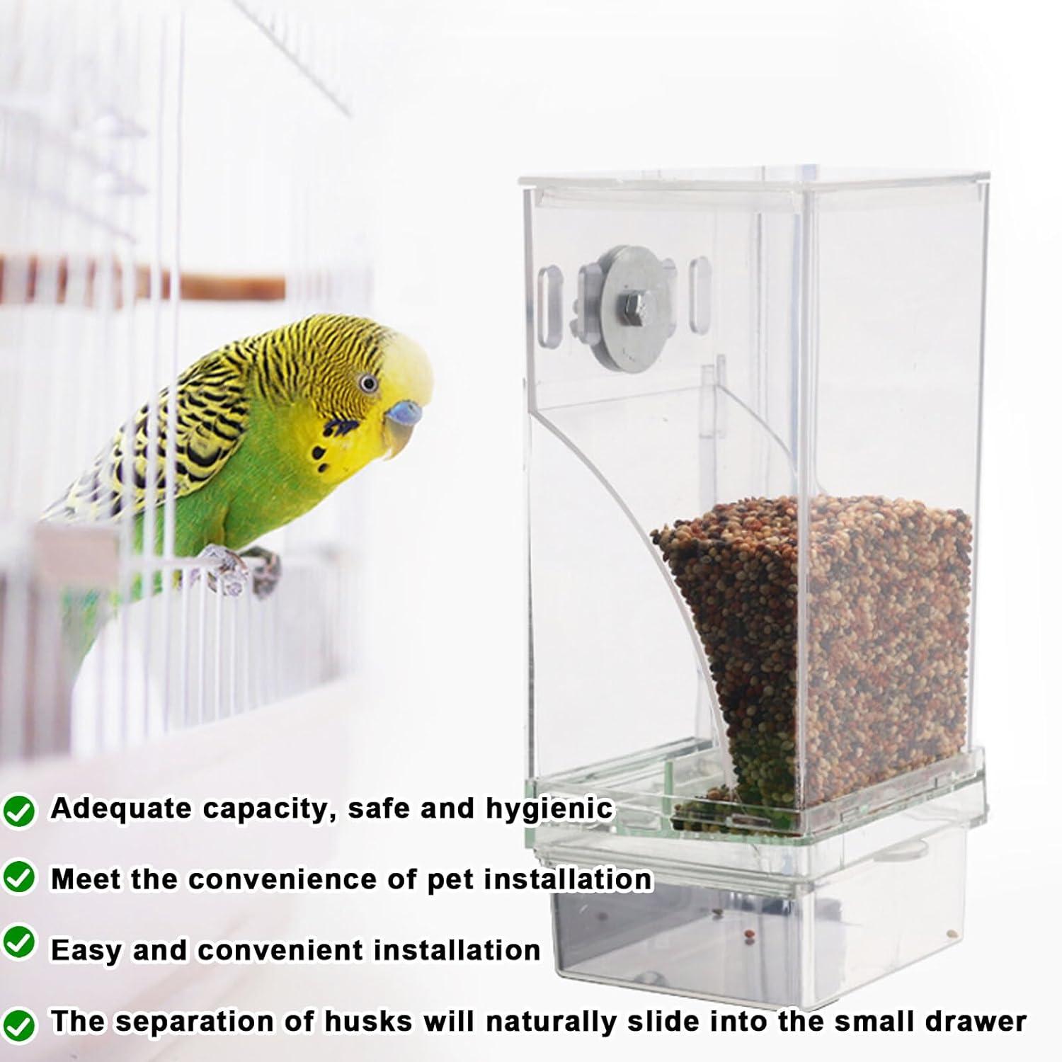 Transparent Automatic Bird Feed Dispenser | Acrylic Feeder for Budgies ...