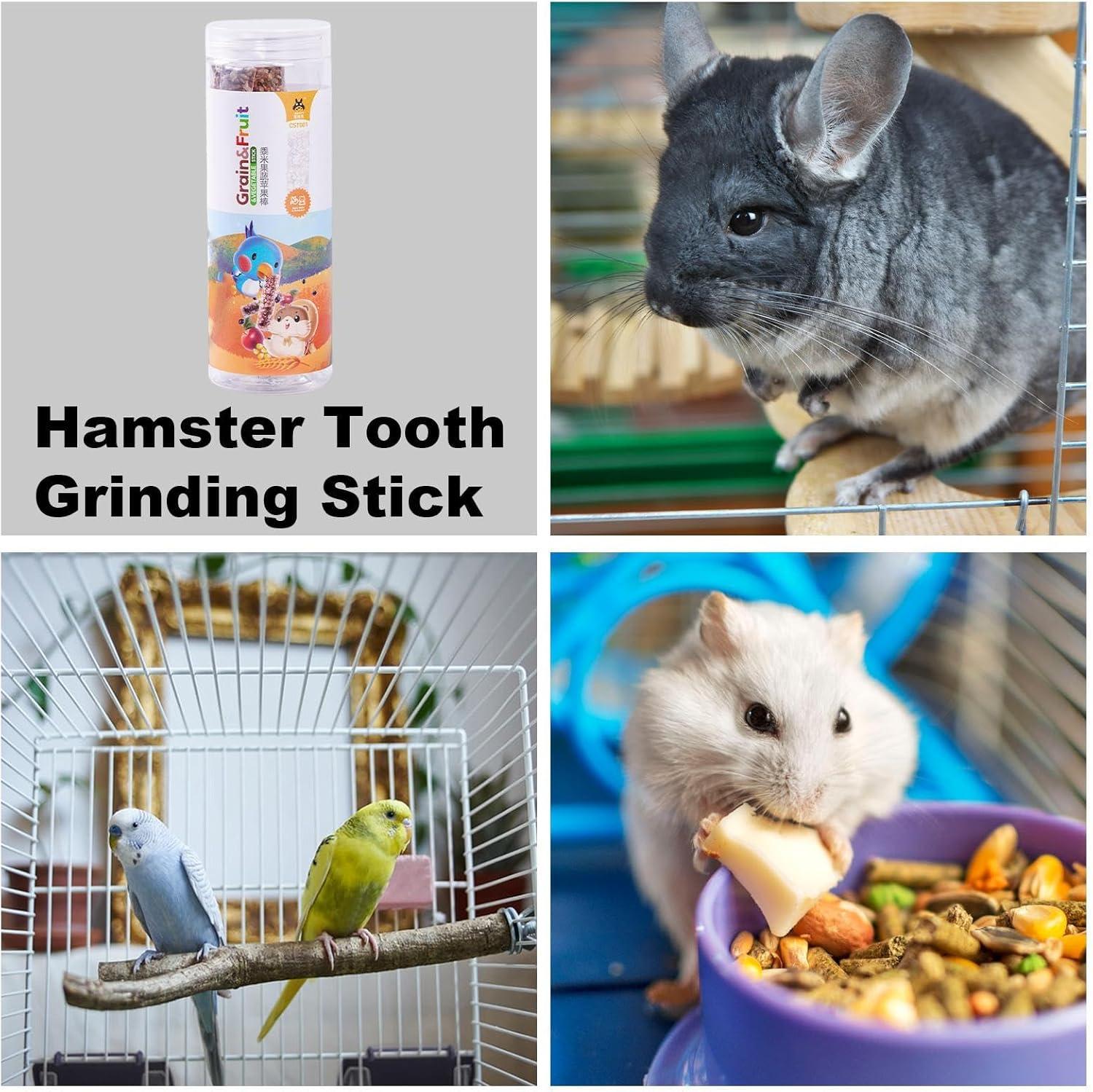 hamster teeth problems